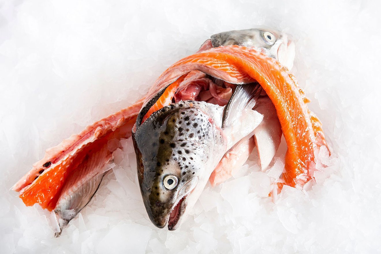 Tasmanian Salmon - Head & Skeleton (Bones) (1kg)