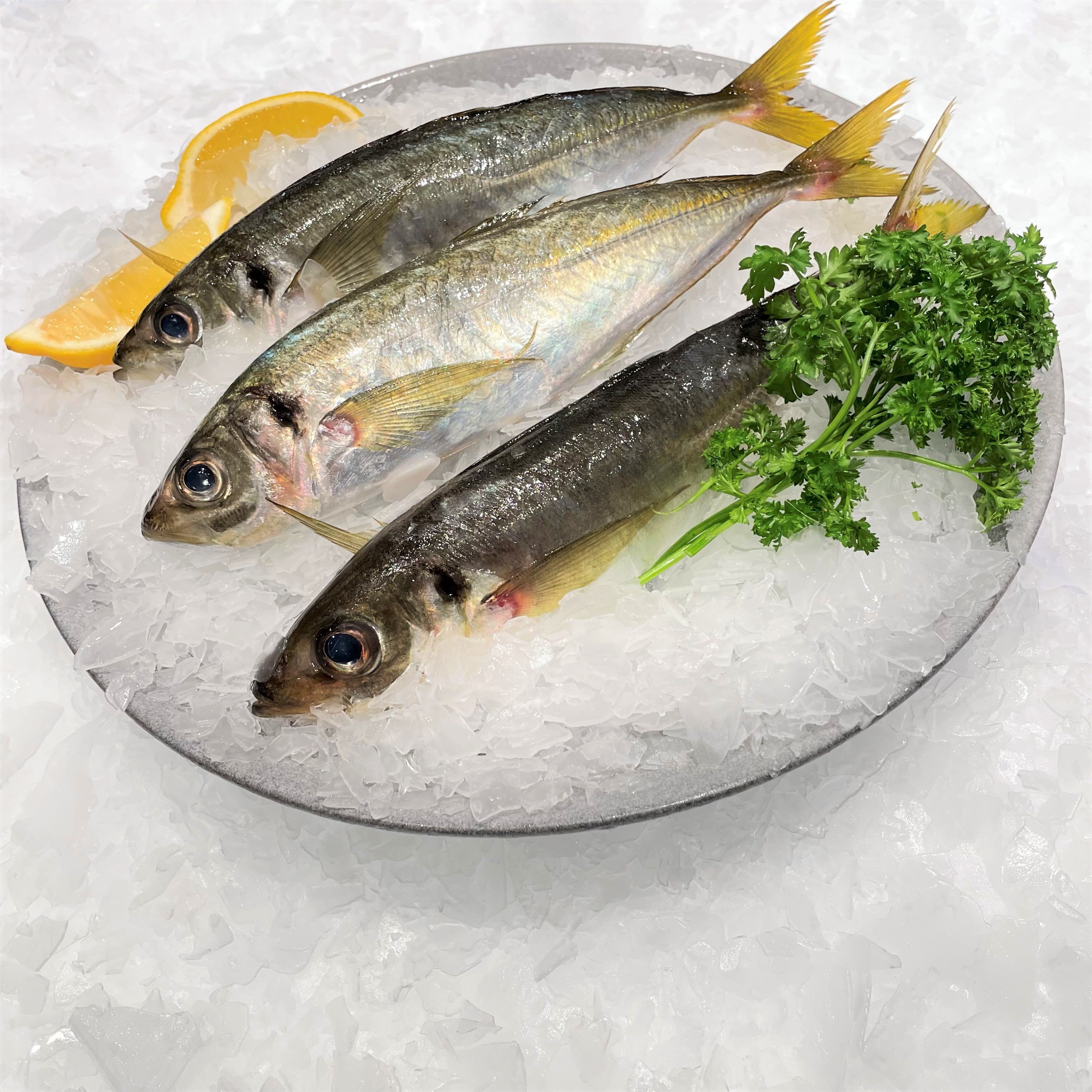Yellowtail Whole (500g)