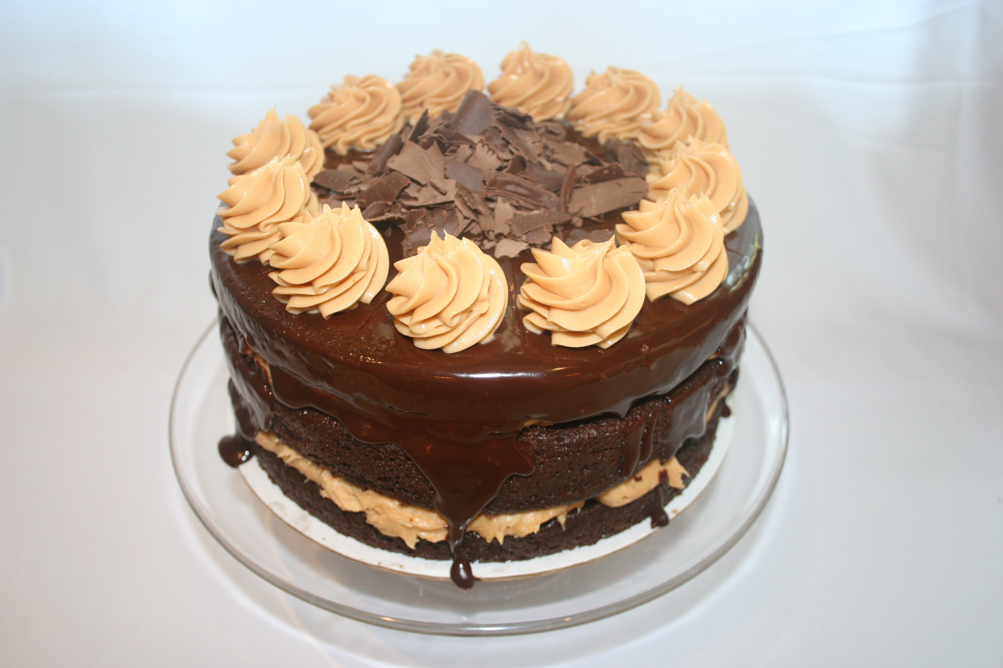 Chocolate Peanut Butter Torte