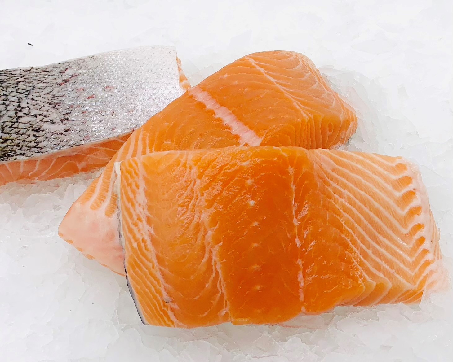 Tasmanian Salmon Portion Skin ON (200gr each) - 带皮塔斯马尼亚三文鱼 200gr 每块