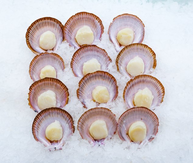 Half Shell Scallops Roe Off (6pcs)