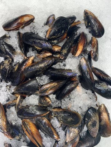 Mussel & Shellfish
