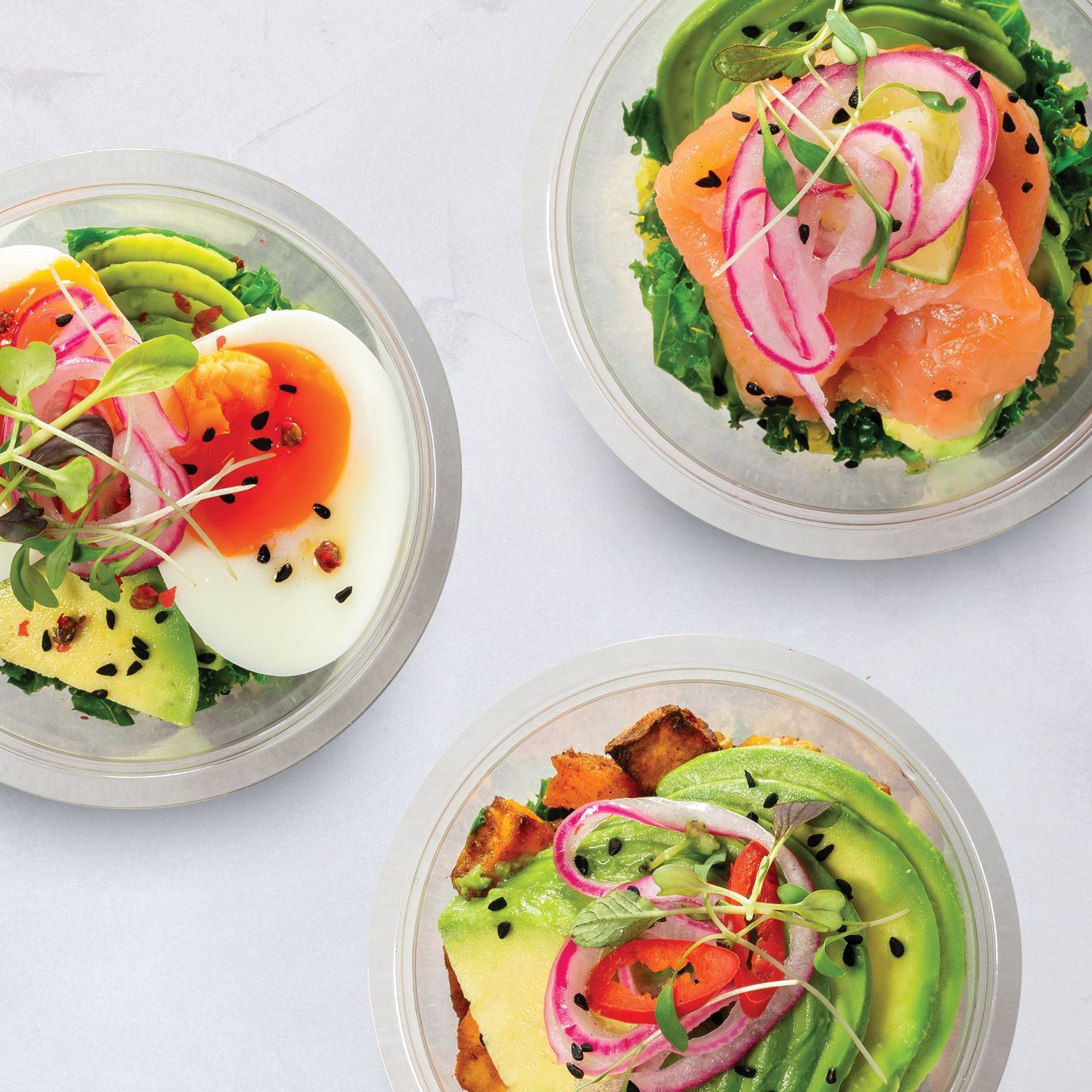 Protein Nutrition Pots